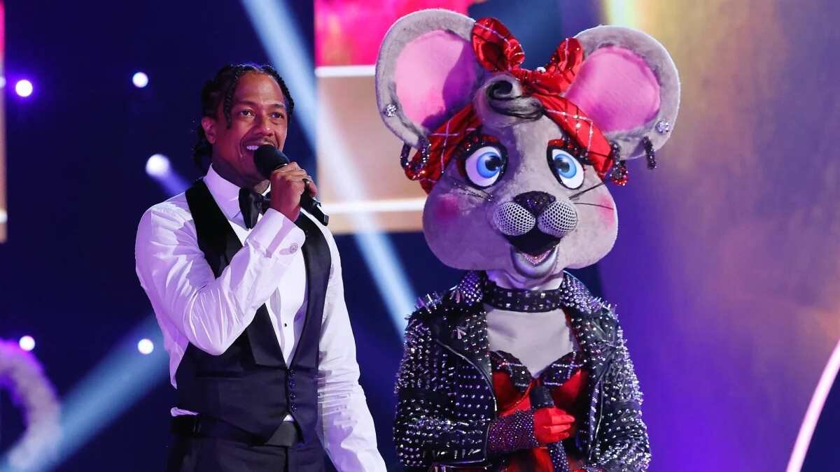 Demi Lovato's Surprise Appearance as Anonymouse on 'The Masked Singer ...
